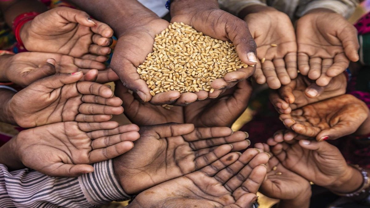 Government to provide 5 kg free food grains to poor in May & June ... Government to provide 5 kg free food grains to poor in May & June ...
